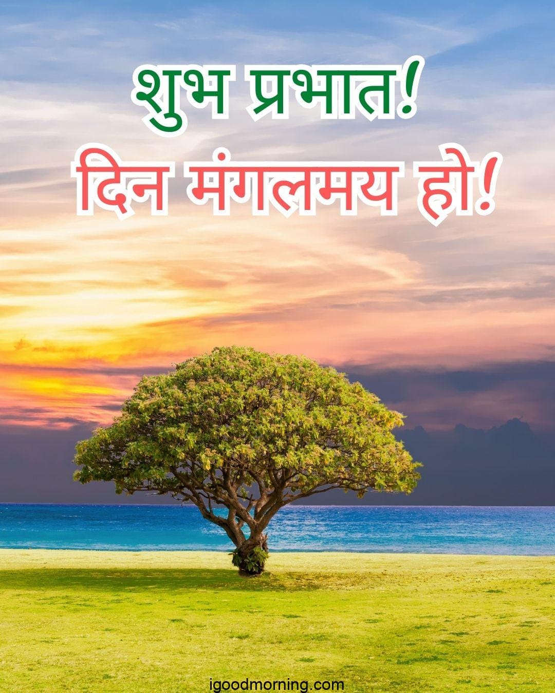 300+ Free Good Morning Nature Images For A Fresh Start